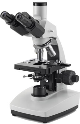 B & B+ Series Microscopes – High-Performance Laboratory and Educational ...